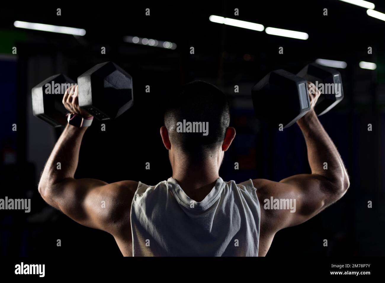 Back muscle exercises hi-res stock photography and images - Alamy