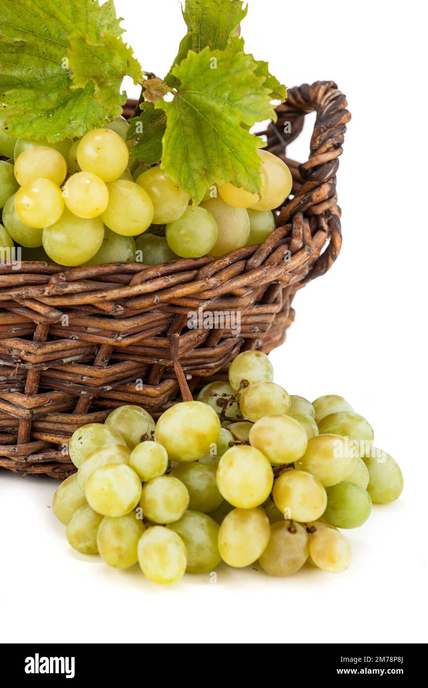 Grape seed oil on white background. The image also shows light grapes ...