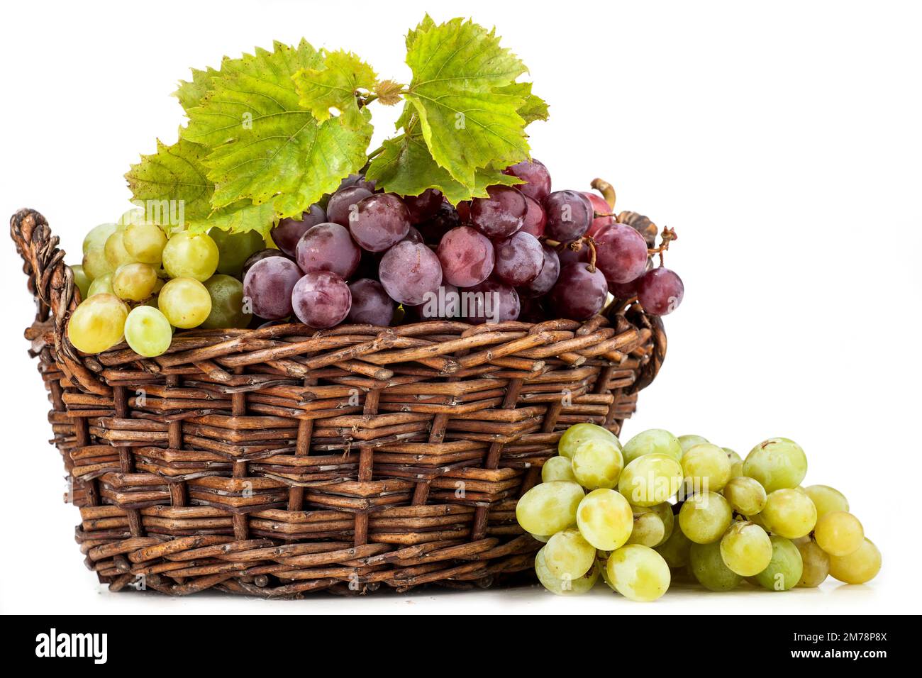Grape seed oil on white background. The image also shows light grapes ...