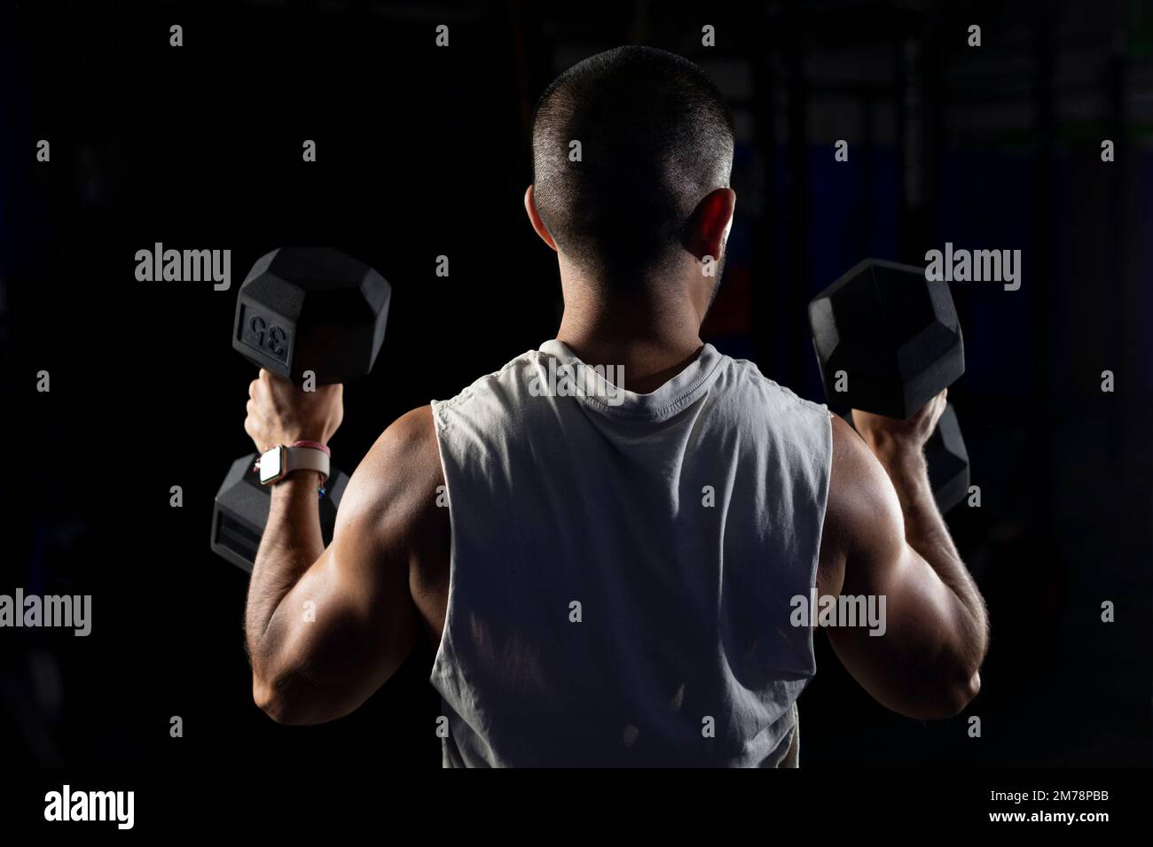 back of a muscular man, doing exercises with dumbbells in the gym Stock ...