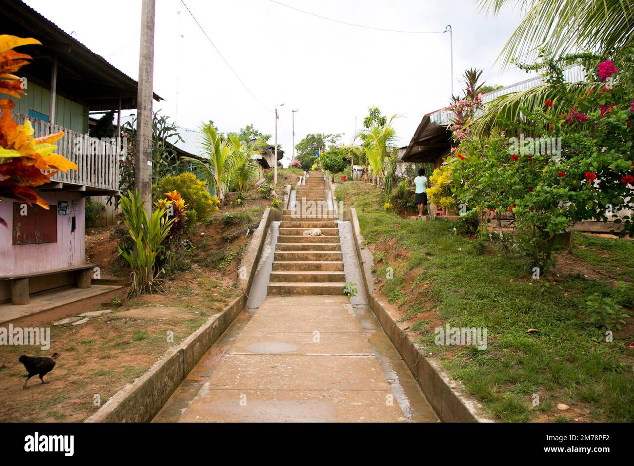 Views from the streets and houses in a town in the Amazonian region in ...