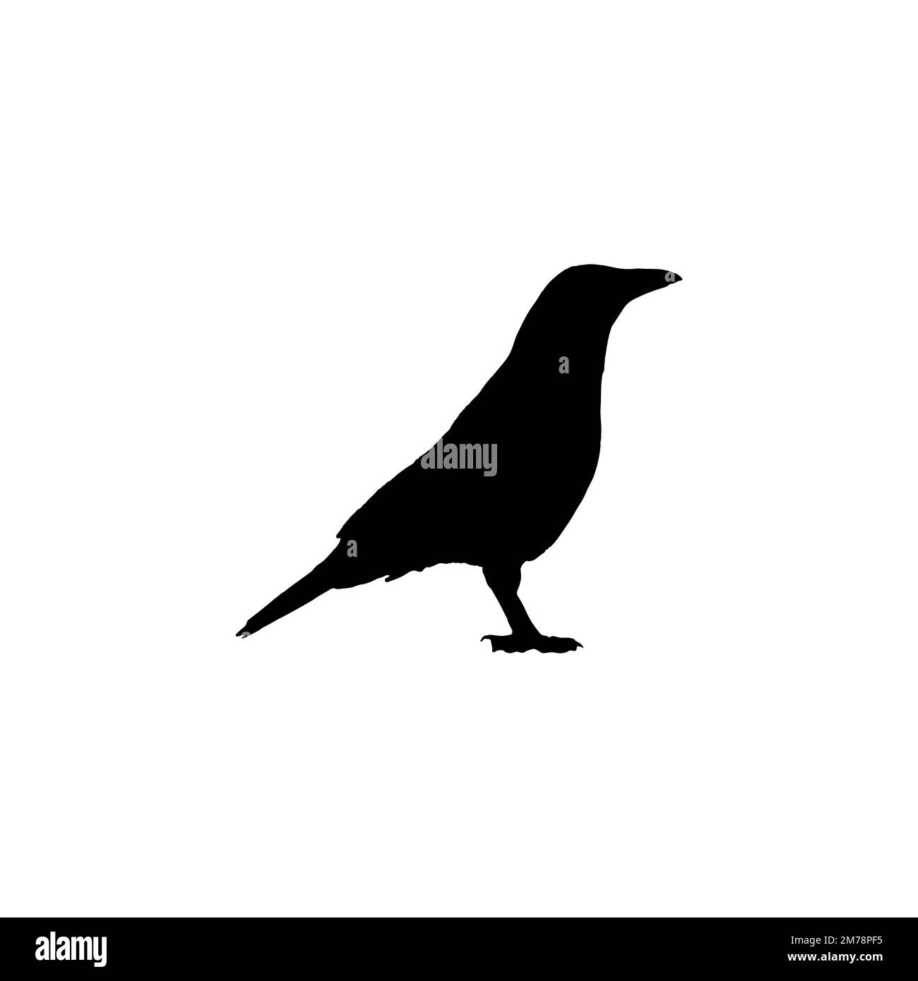 Crow icon. Simple style Halloween holiday poster background symbol ...