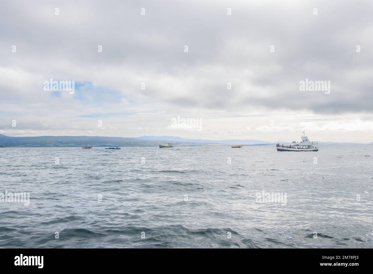 Husavik, Iceland - August 22, 2022 : Whale Watching the Atlantic Ocean ...