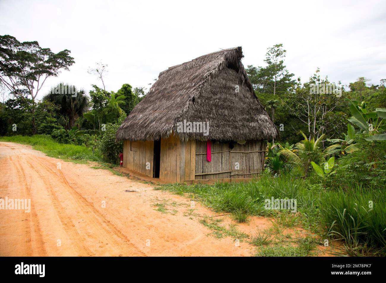 Views from the streets and houses in a town in the Amazonian region in ...