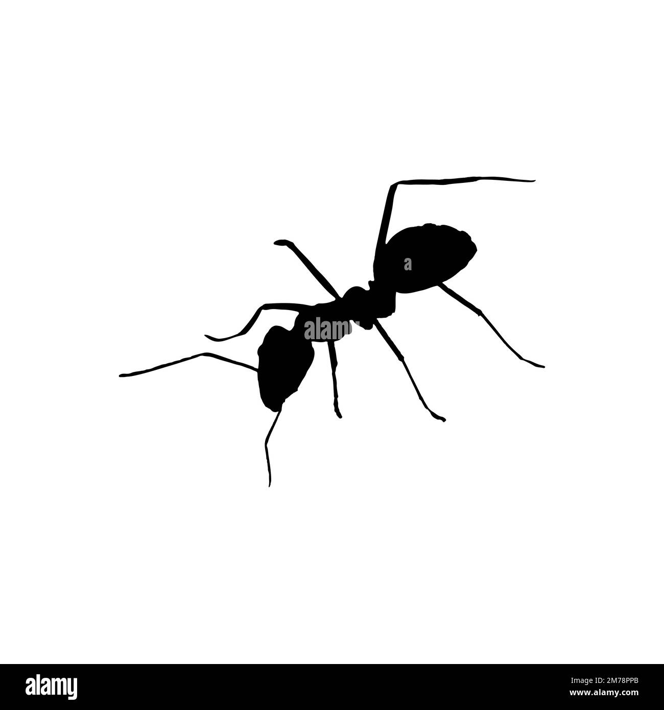 Ant icon. Simple style anti-anticide big sale poster background symbol ...
