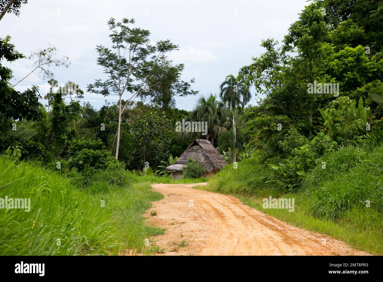 Views from the streets and houses in a town in the Amazonian region in ...