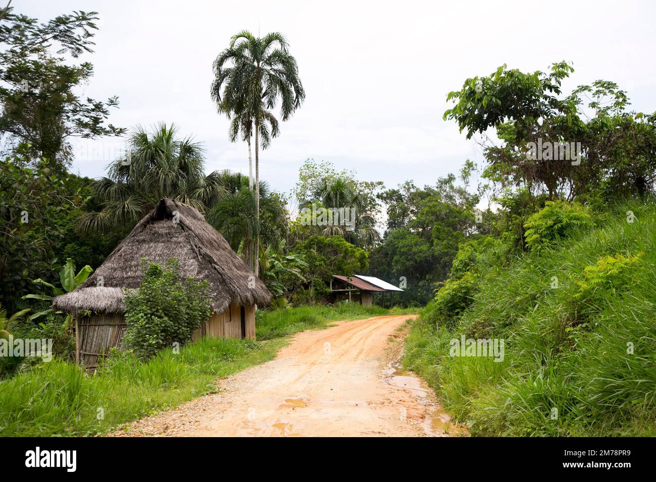 Views from the streets and houses in a town in the Amazonian region in ...
