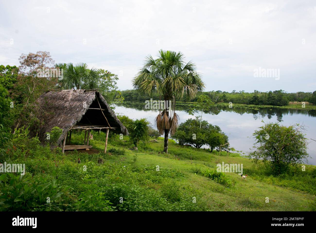 Views from the streets and houses in a town in the Amazonian region in ...