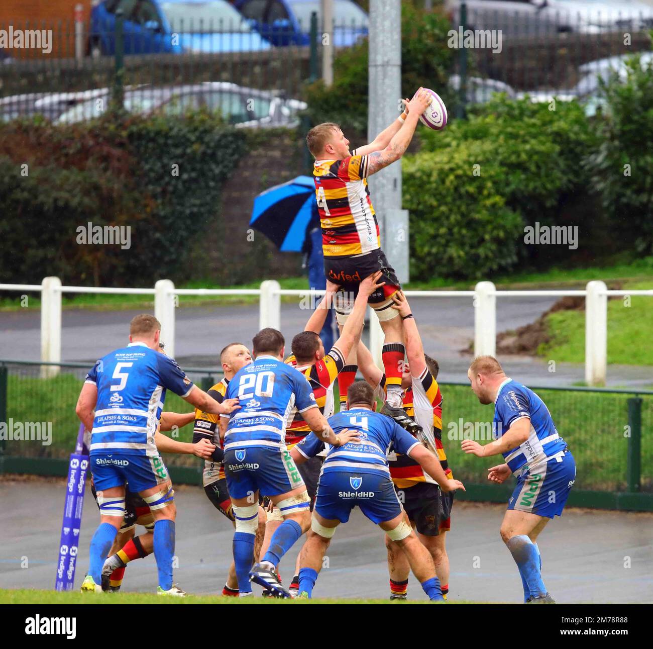Bridgend ravens rfc hi-res stock photography and images - Alamy