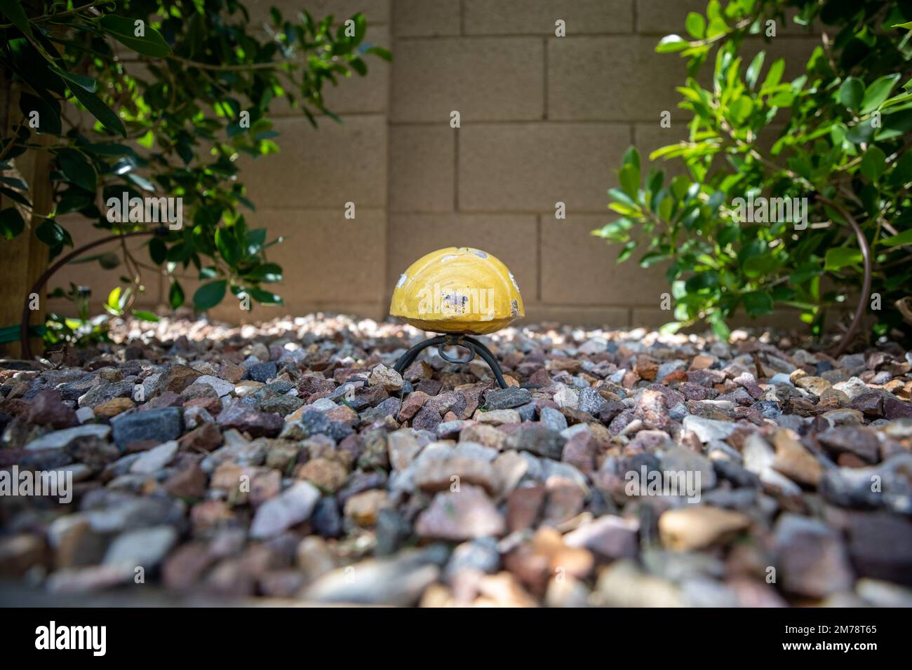 A small yellow ornament in a rock garden Stock Photo - Alamy