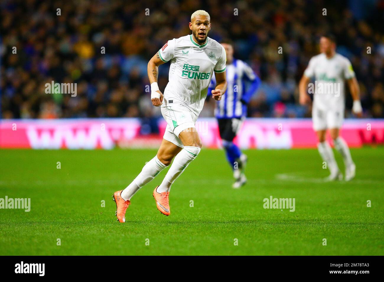 Hillsborough Stadium, Sheffield, England - 7th January 2023 Joe Linton ...