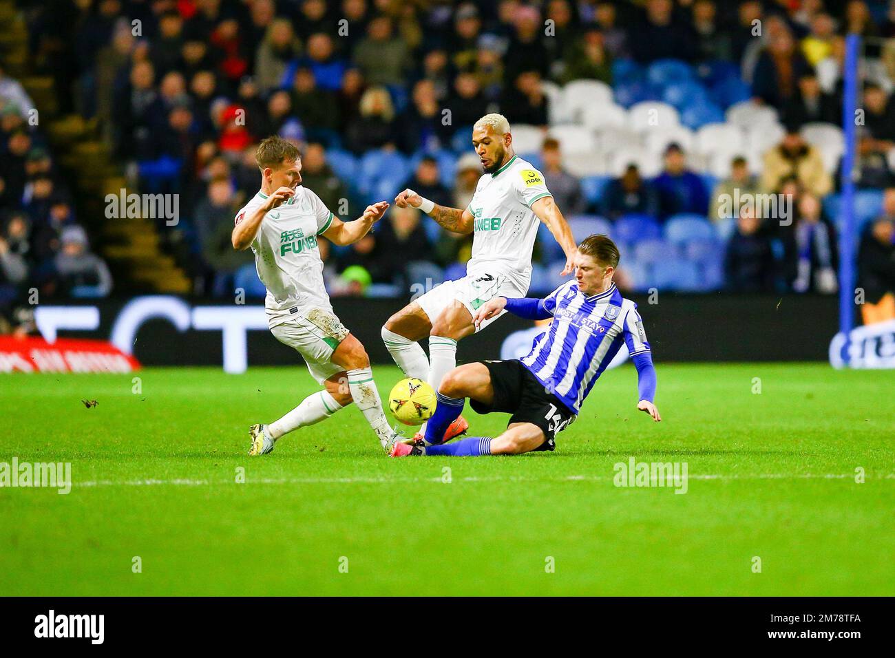 Hillsborough Stadium, Sheffield, England - 7th January 2023 Matt ...