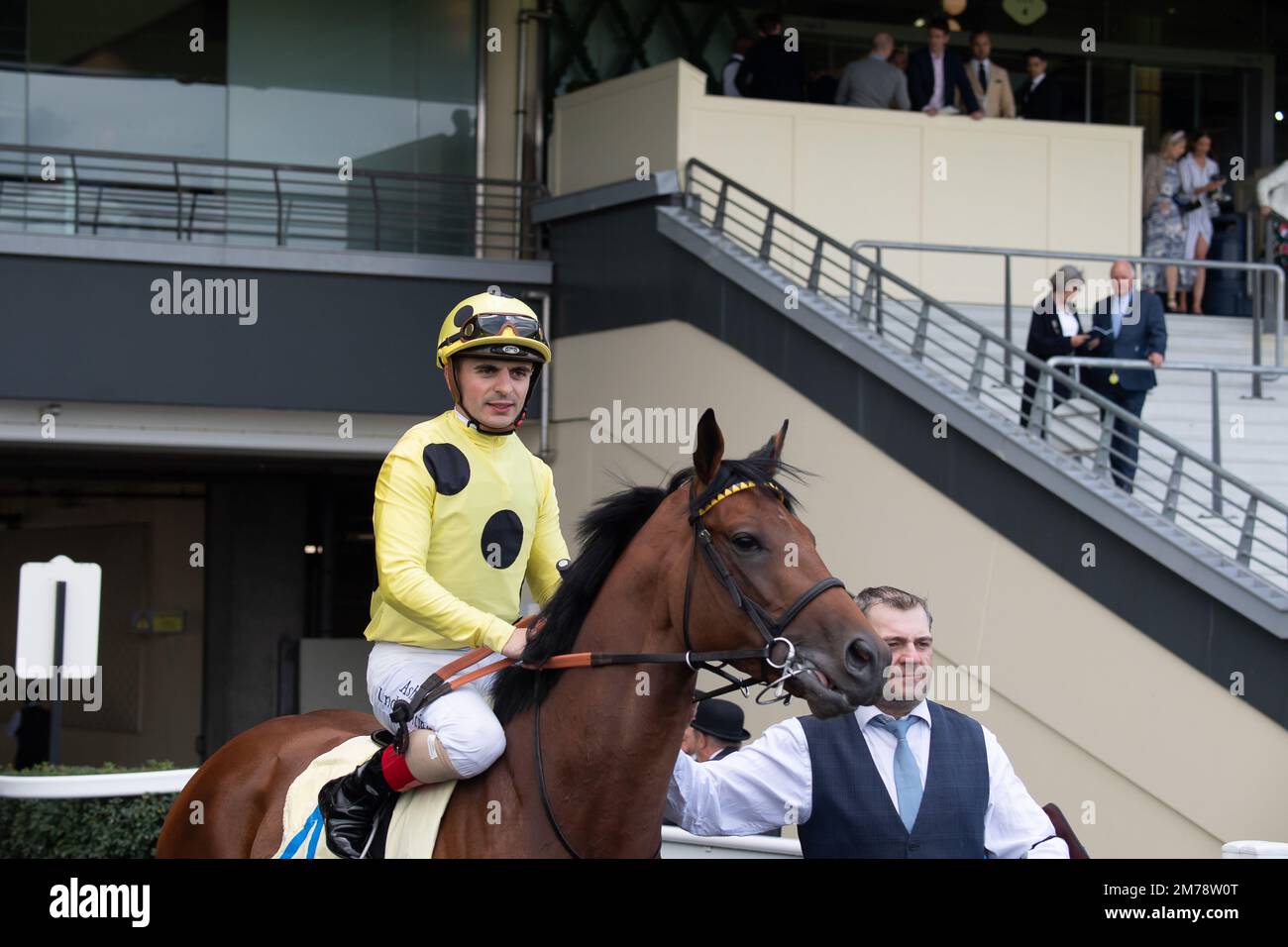 Third realm horse hi-res stock photography and images - Alamy