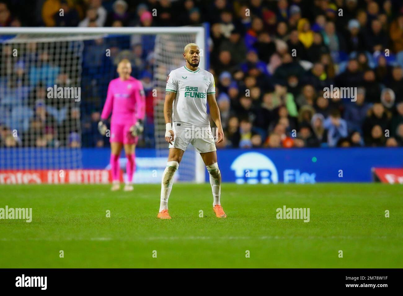 Hillsborough Stadium, Sheffield, England - 7th January 2023 Joe Linton ...
