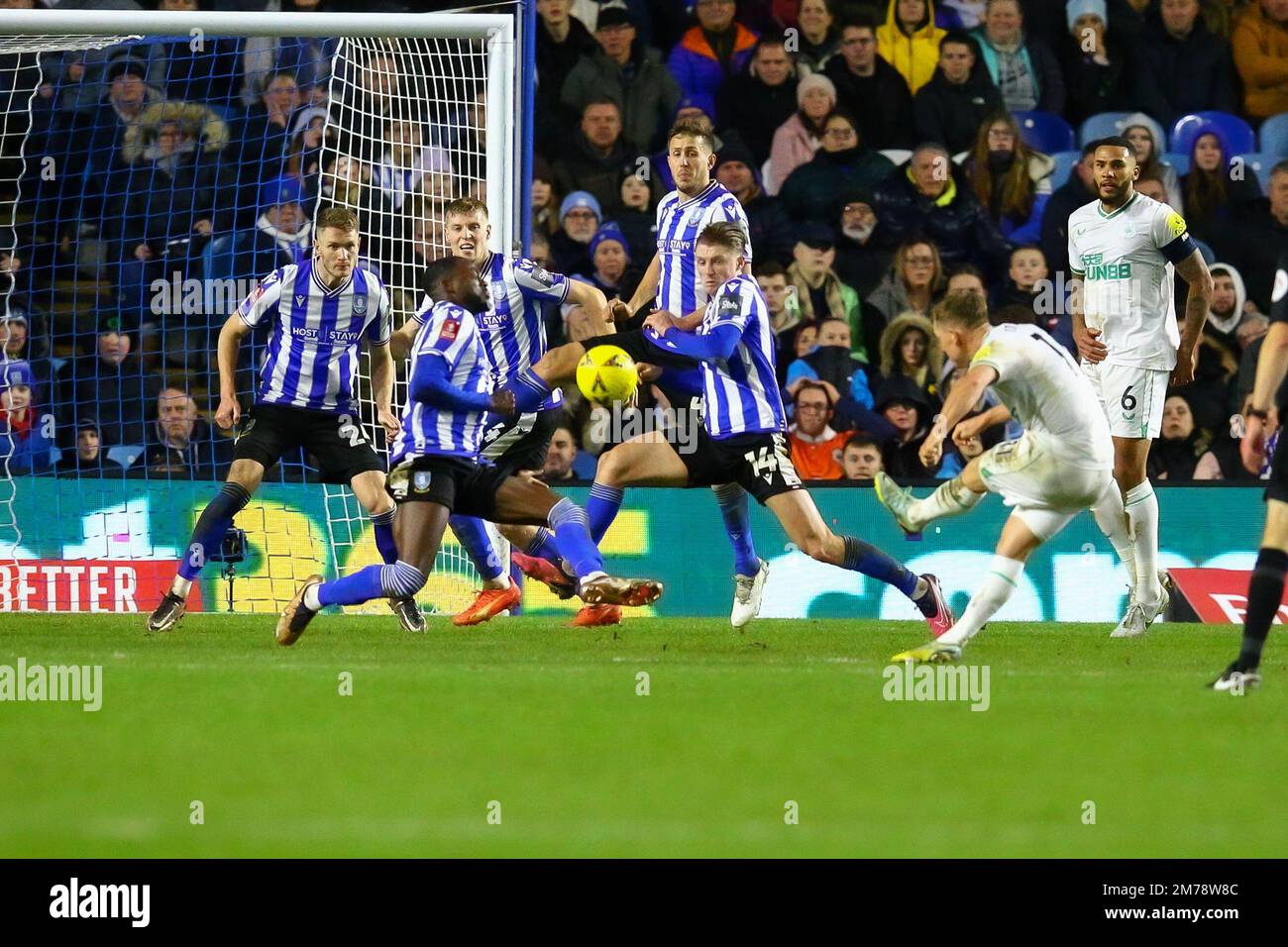 Hillsborough Stadium, Sheffield, England - 7th January 2023 Great ...