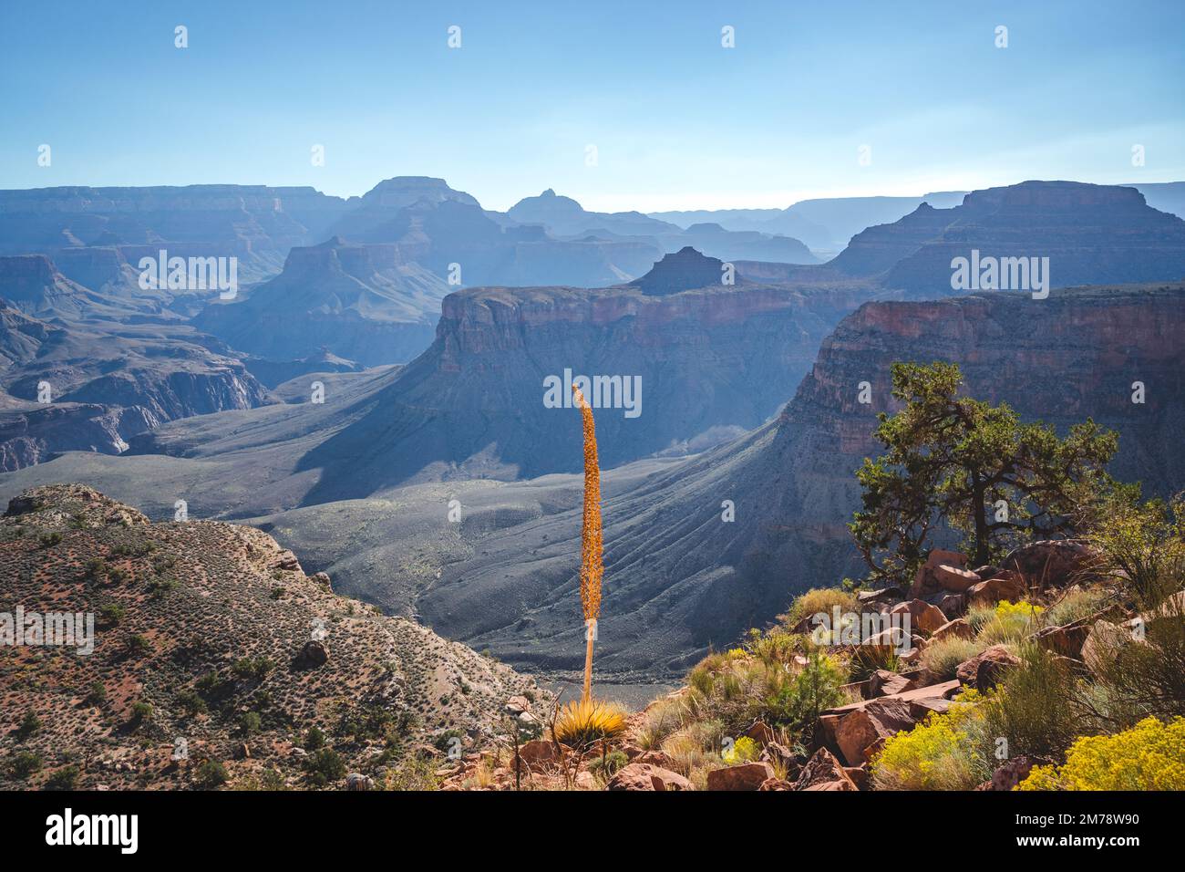 Grand canyon and south kaibab trailhead hi-res stock photography and ...