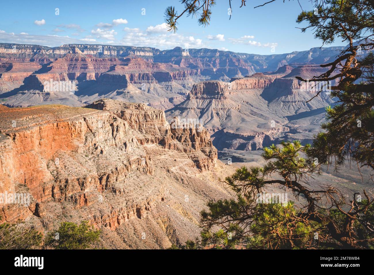 on the south kaibab trailhead to skeleton point in grand canyon Stock ...