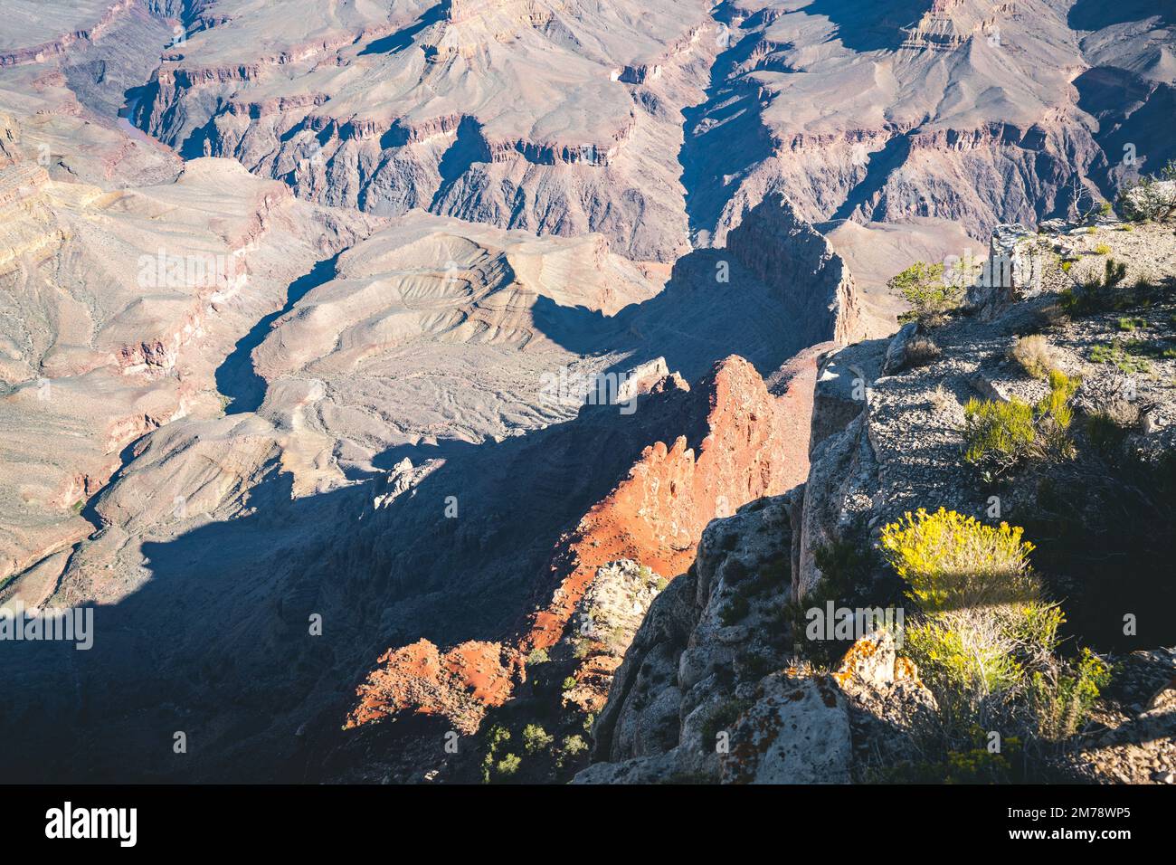 top down view into the grand canyon at sunrise Stock Photo - Alamy