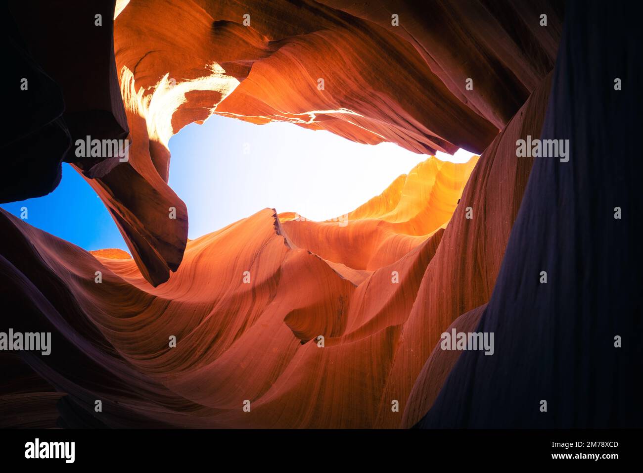 Mystical colors hi-res stock photography and images - Alamy