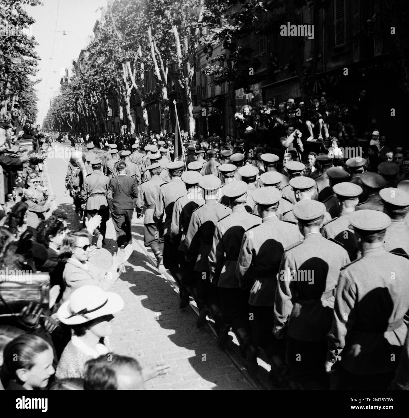 Revue des Troopes, Review of Troops, French Troops or Soldiers Marching ...