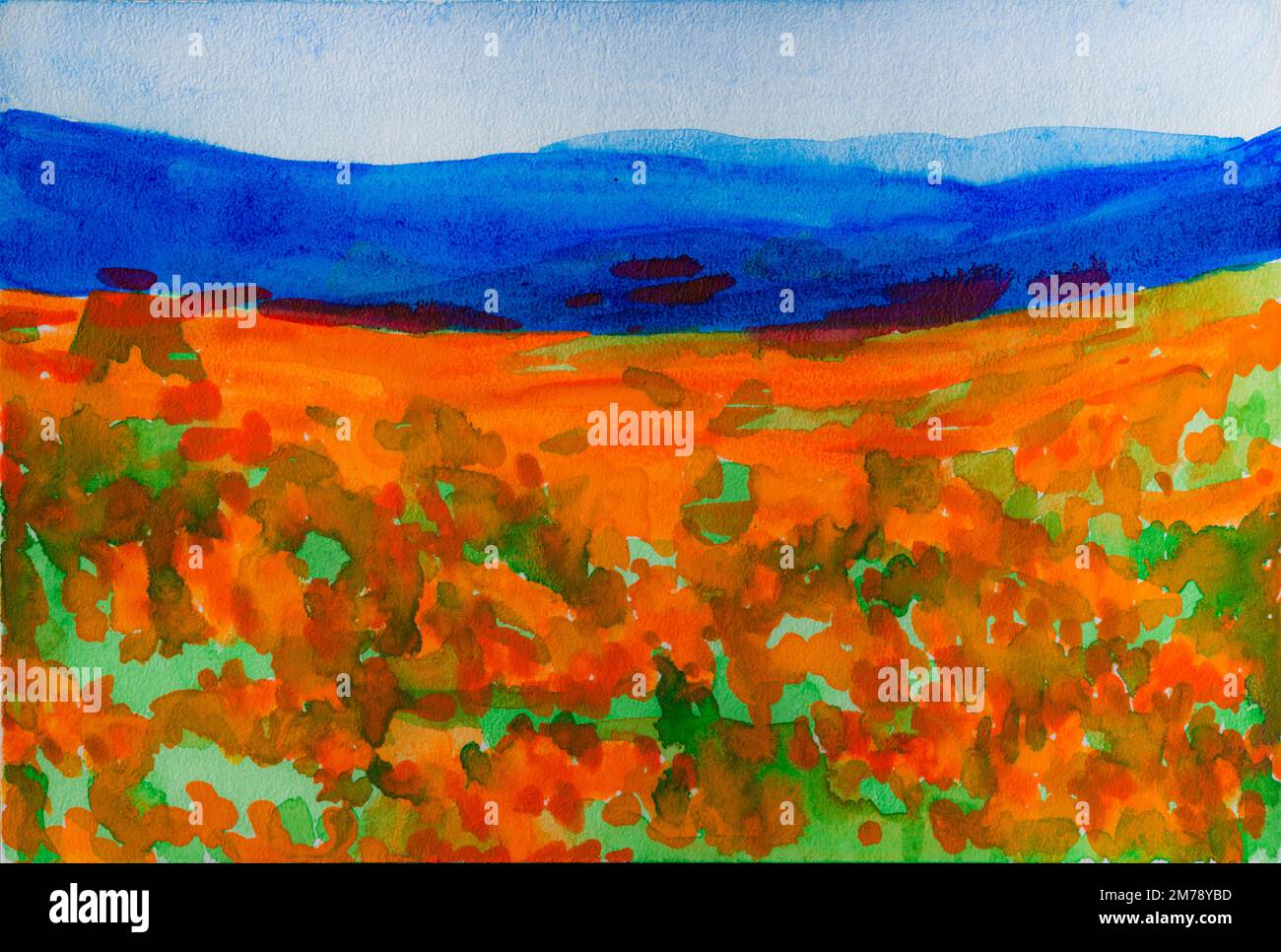 California Poppy Fields. Watercolor Painting Stock Photo - Alamy
