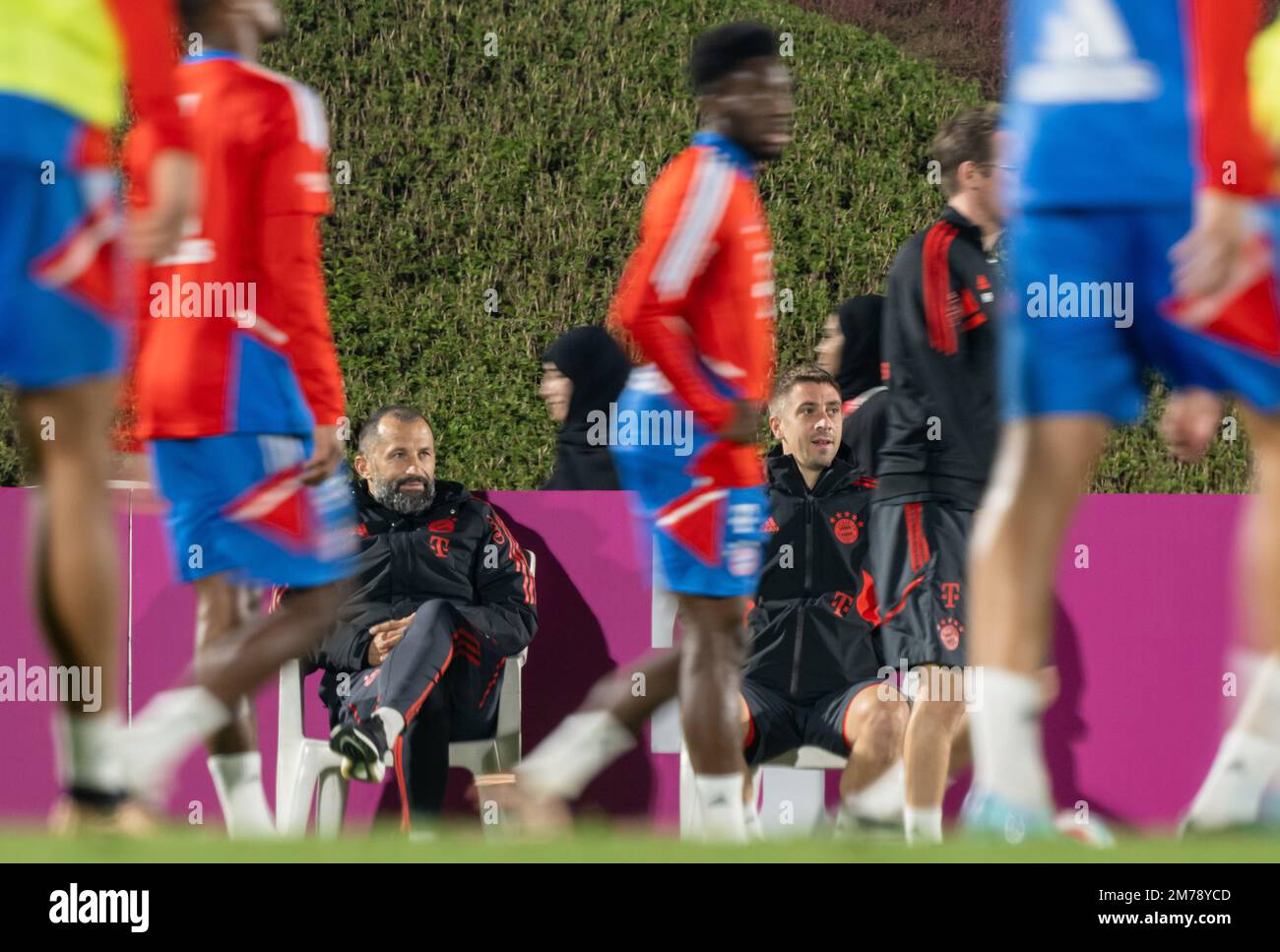 Marco neppe hi-res stock photography and images - Alamy