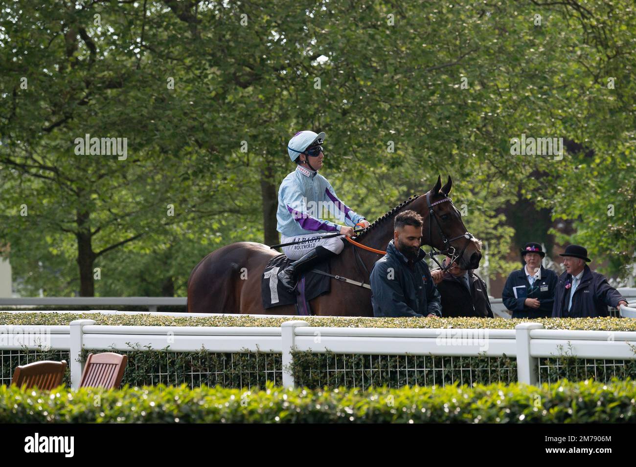 Jockey pat cosgrove hi-res stock photography and images - Alamy