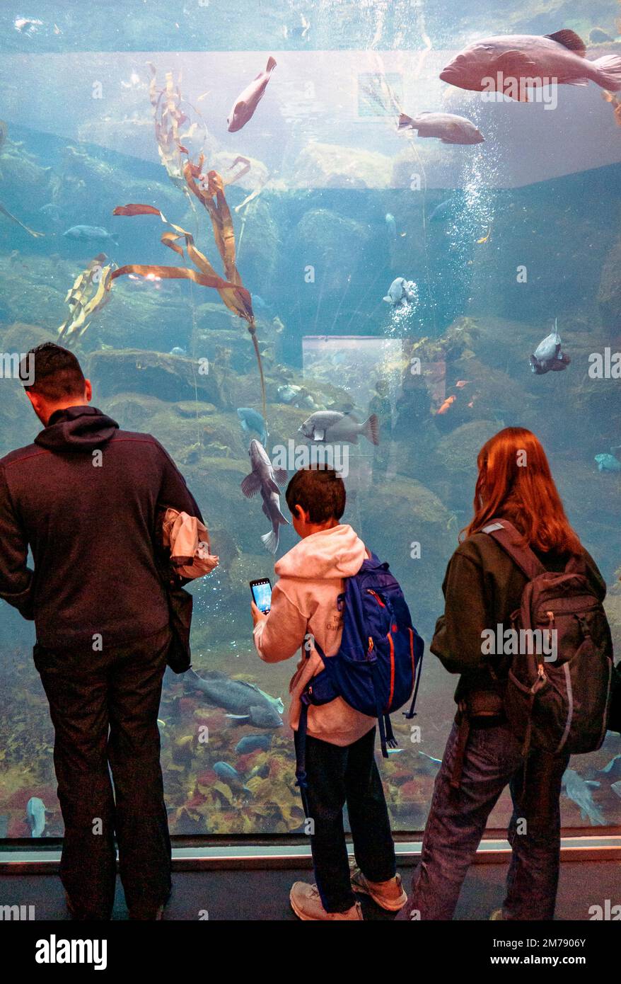 Flora fauna museum hi-res stock photography and images - Alamy