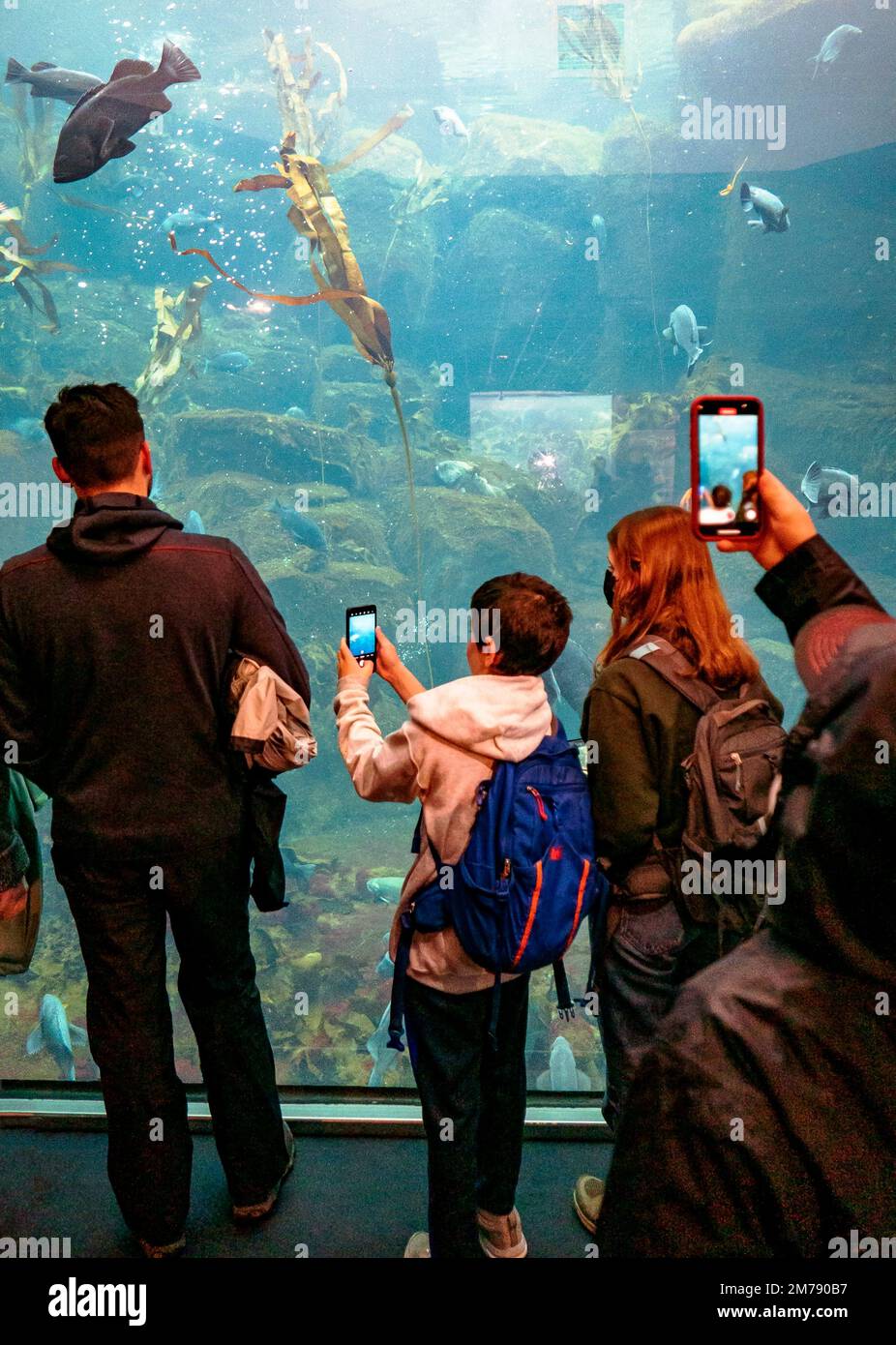 Flora fauna museum hi-res stock photography and images - Alamy