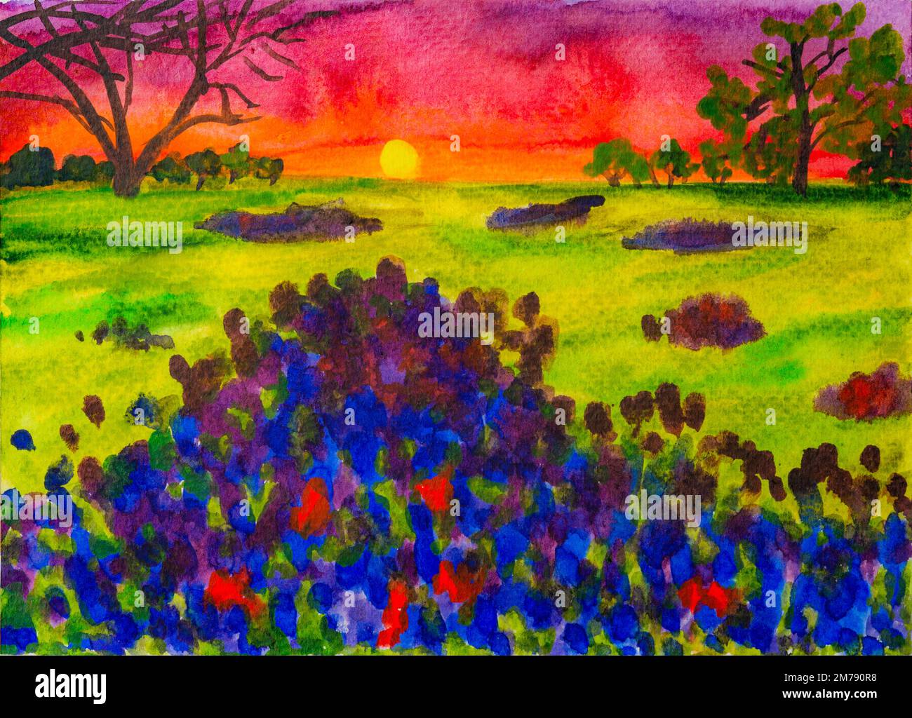 Texas Bluebonnets at Sunset. Watercolor painting Stock Photo - Alamy