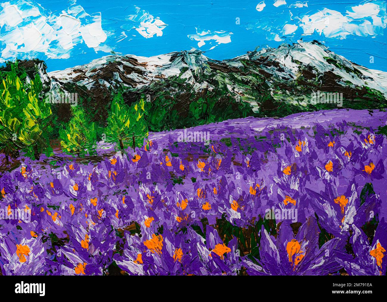 Crocus flowers field in mountains of Switzerland, acrylic painting ...