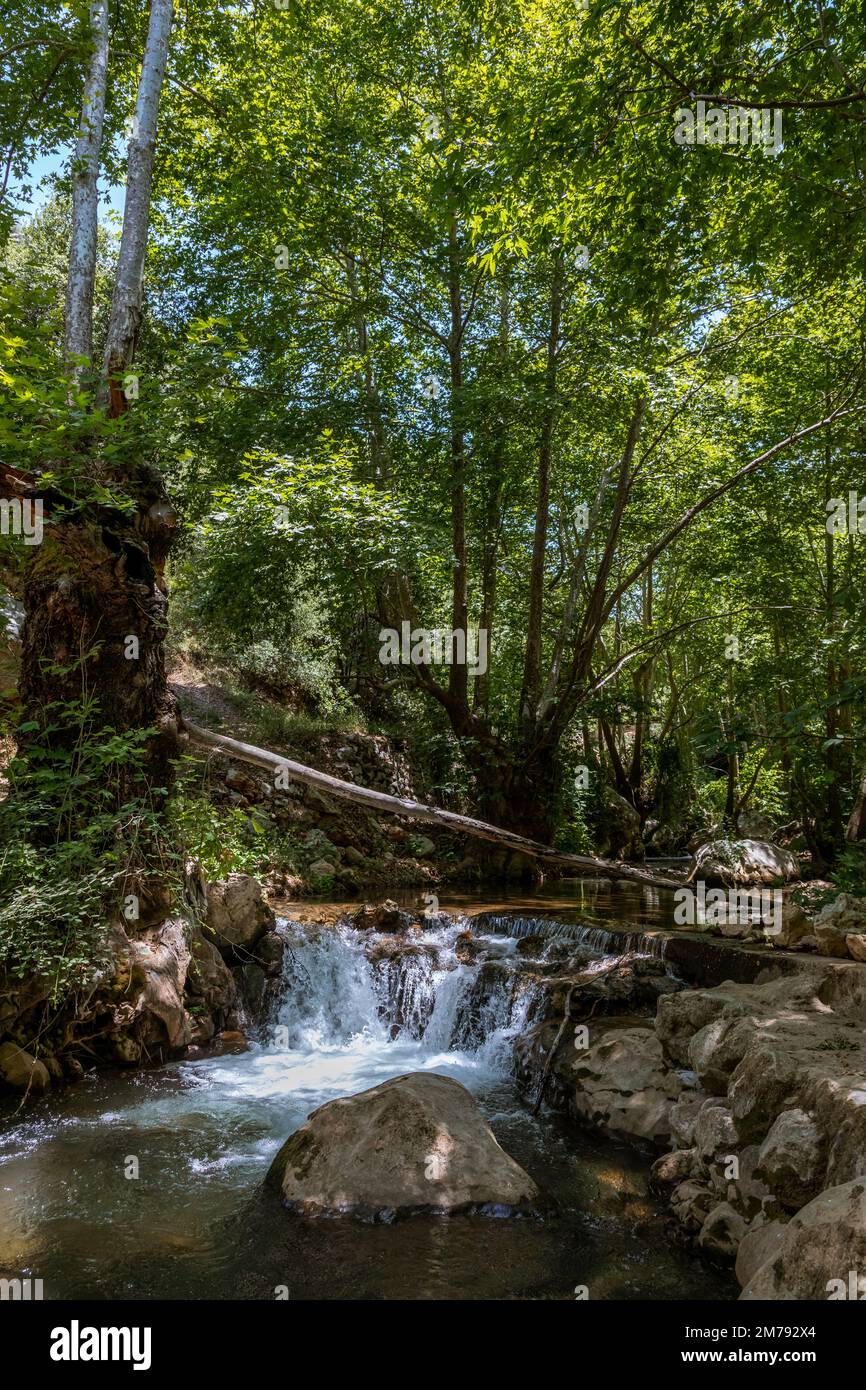 Beautiful vertical view water hi-res stock photography and images - Alamy
