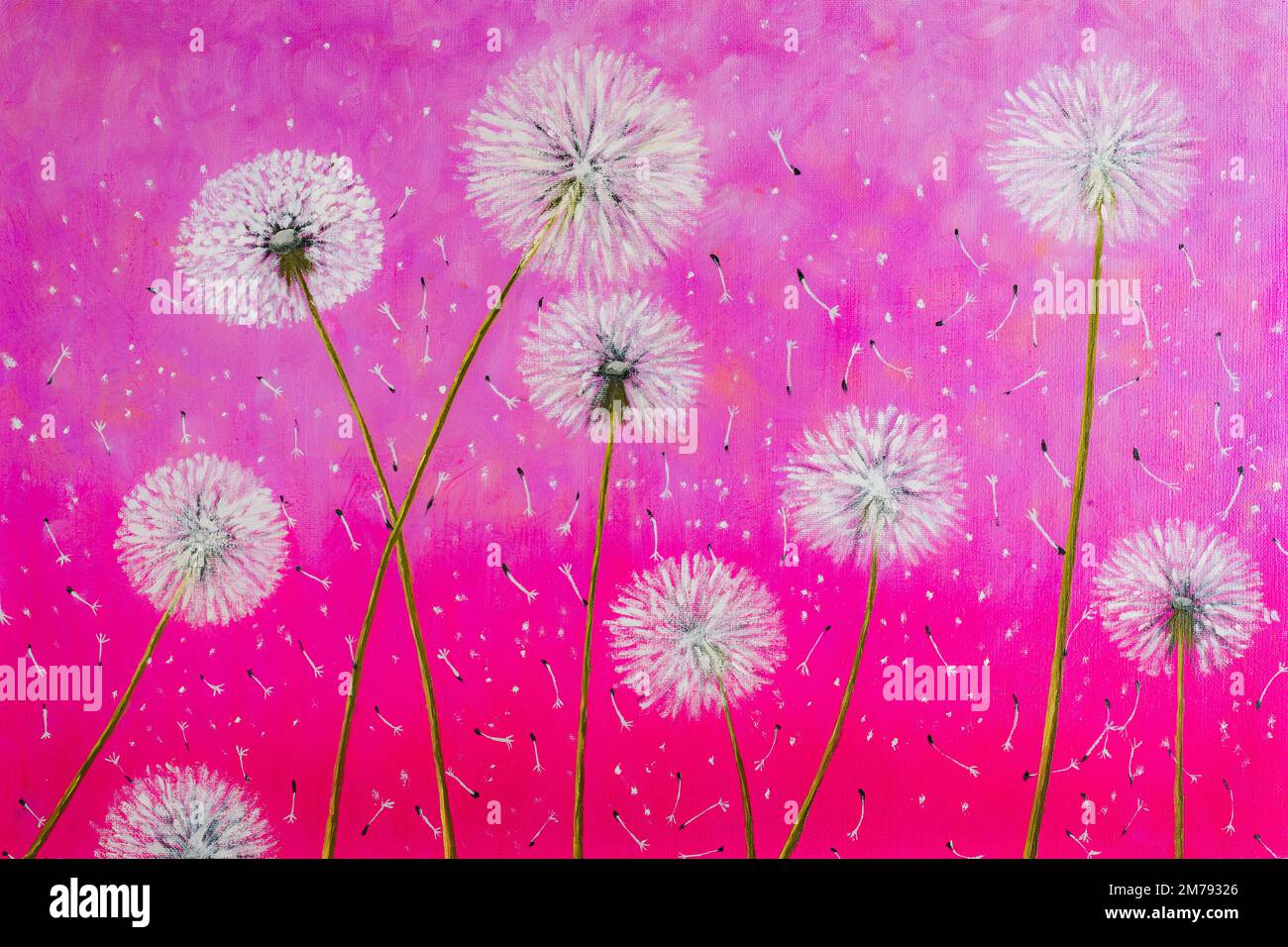 Abstract dandelions on pink background, oil painting Stock Photo - Alamy