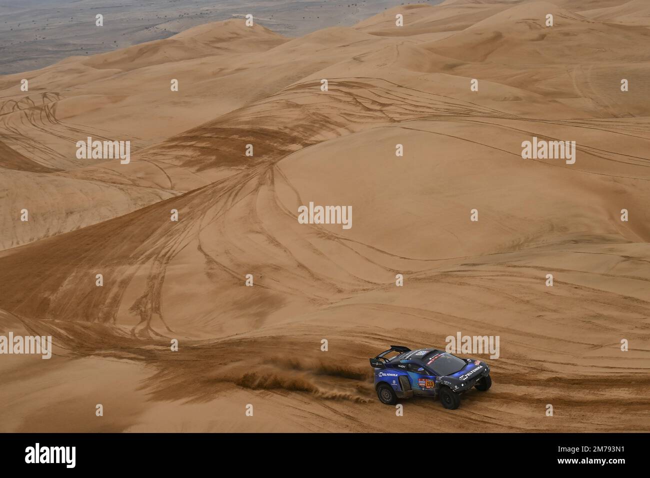 213 VAIDOTAS Zala (ltu), FIUZA Paulo (prt), Teltonika Racing, BRX ...