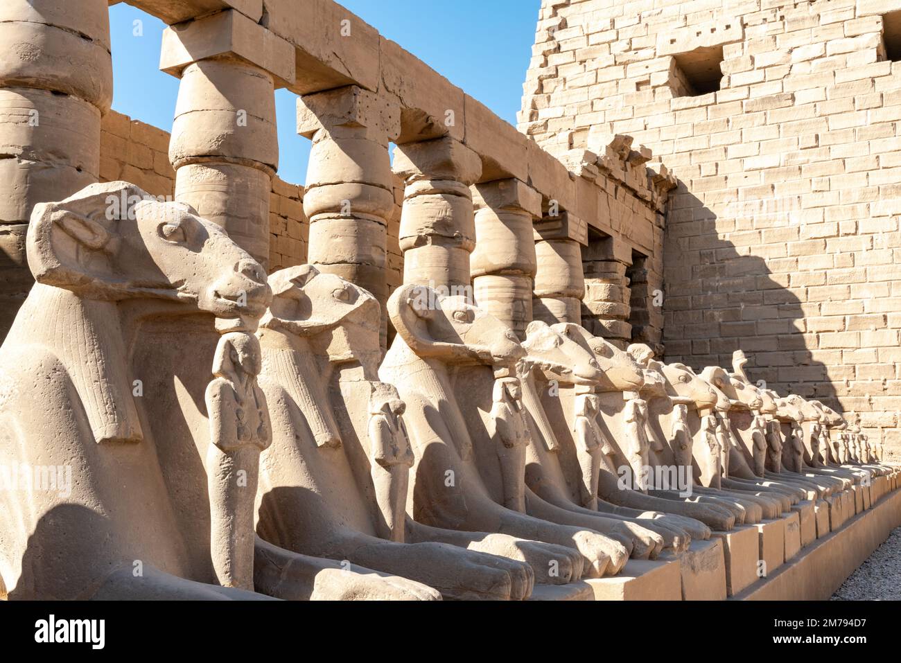 Travelling in the egypt magic Stock Photo - Alamy