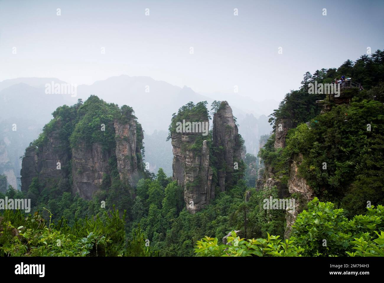Hunan,Zhangjiajie National Forest Park,Zhangjiajie,Beauty in Nature,黄龙寨 ...