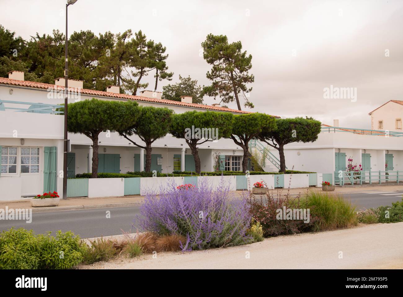 Vegetation and lavender bushes give color to the maritime city, very ...
