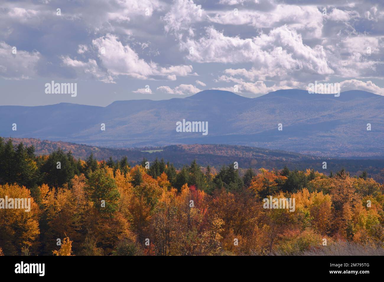 A view over autumn foliage to the Catskill Mountains in Upstate New ...