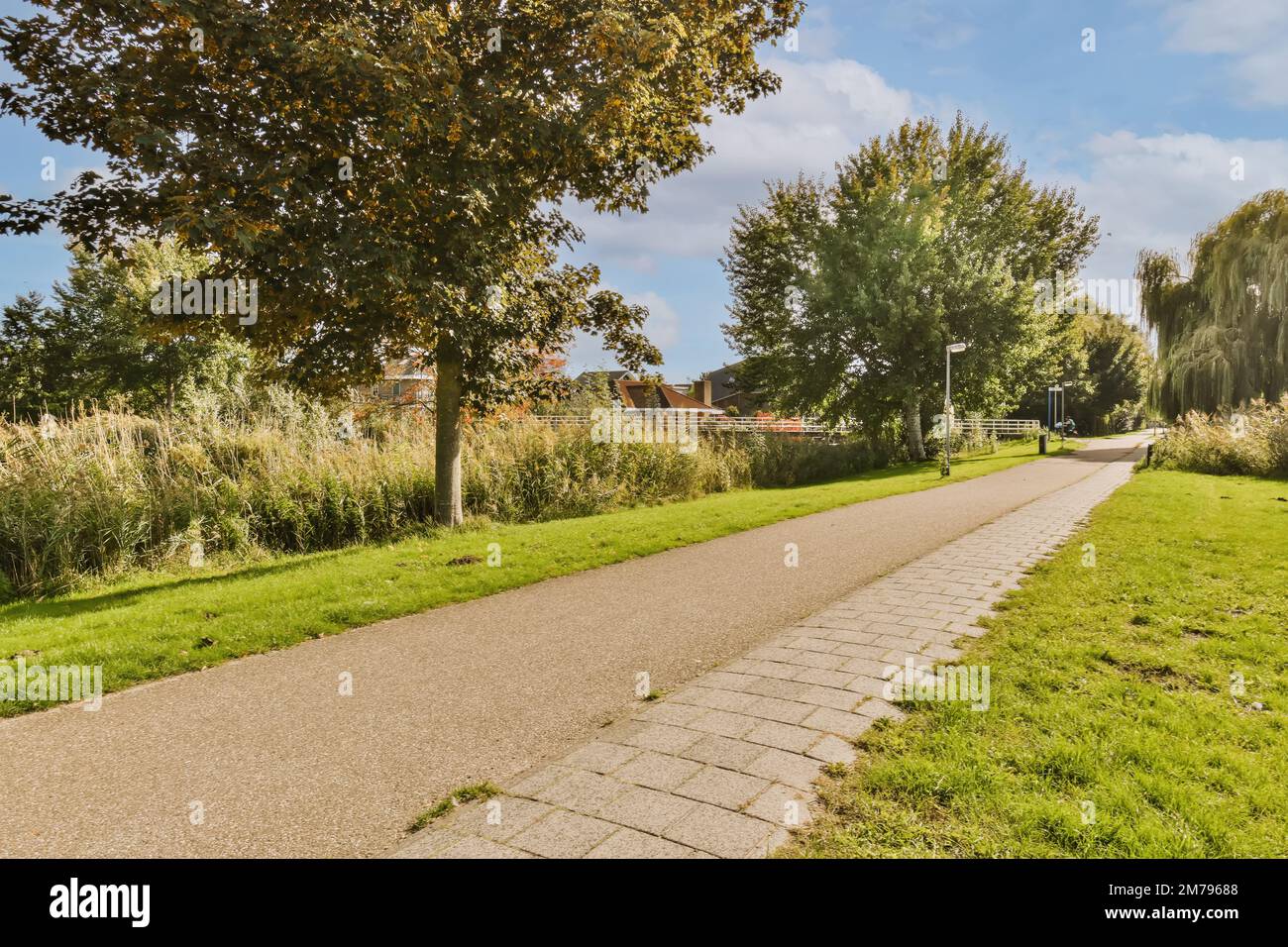 a path in the park, with trees and grass on both sides there is a blue ...