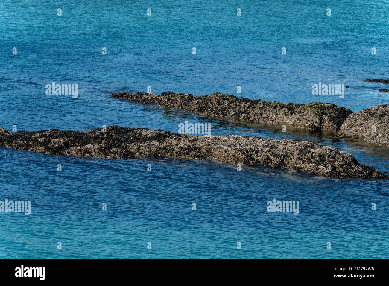 Rocks surrounded by sea water. An oceanic reef. Seascape with rocks ...