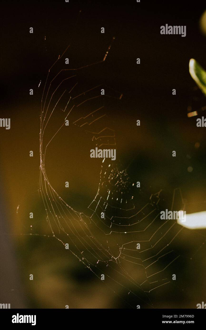 Framework web hi-res stock photography and images - Alamy