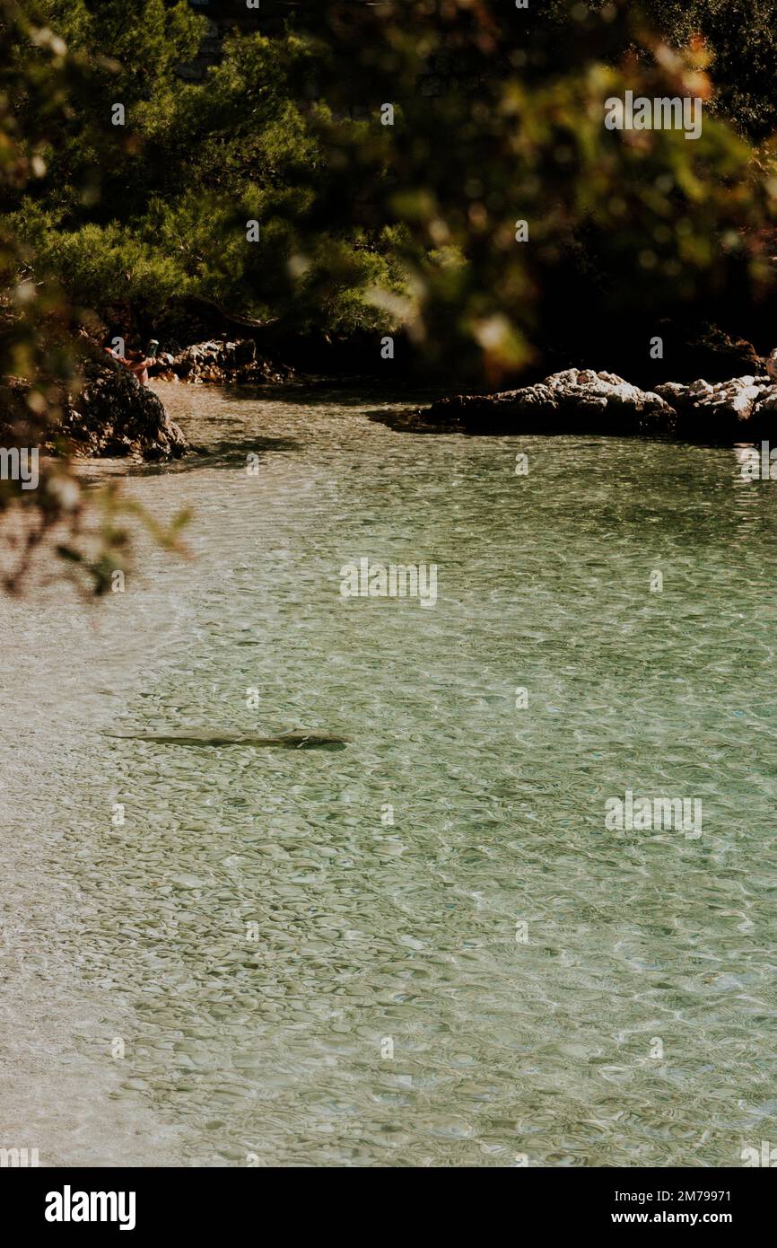 Summer coastline near an island on the deep blue ocean Stock Photo - Alamy