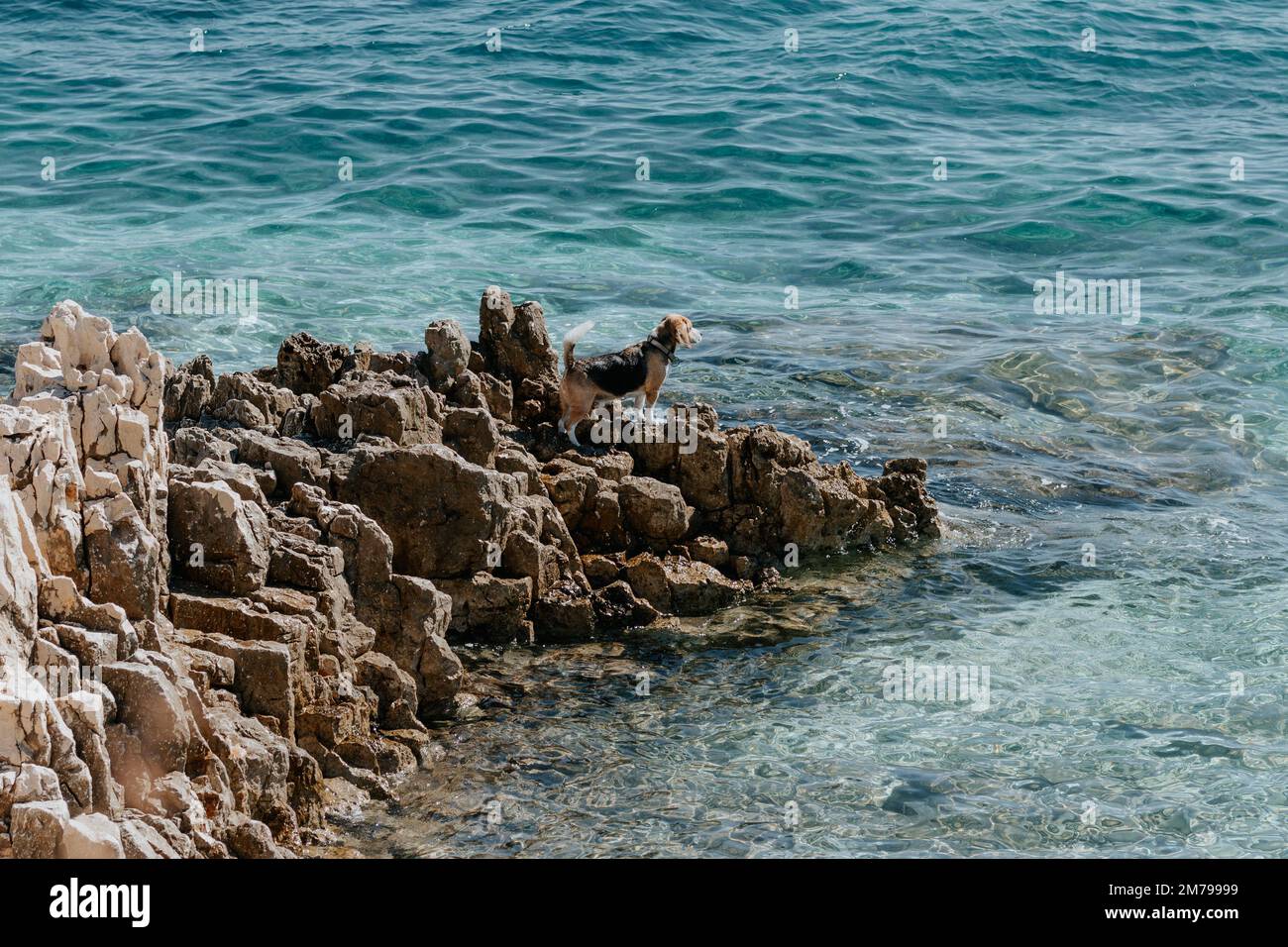 Summer coastline near an island on the deep blue ocean Stock Photo - Alamy