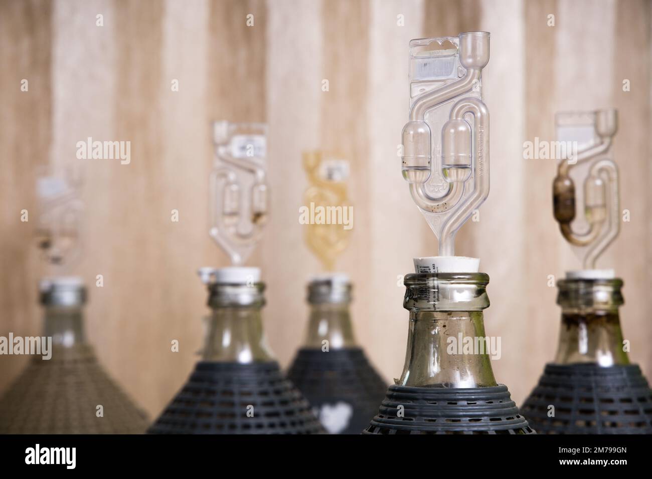 Glass balloon flasks with home made wine Stock Photo - Alamy
