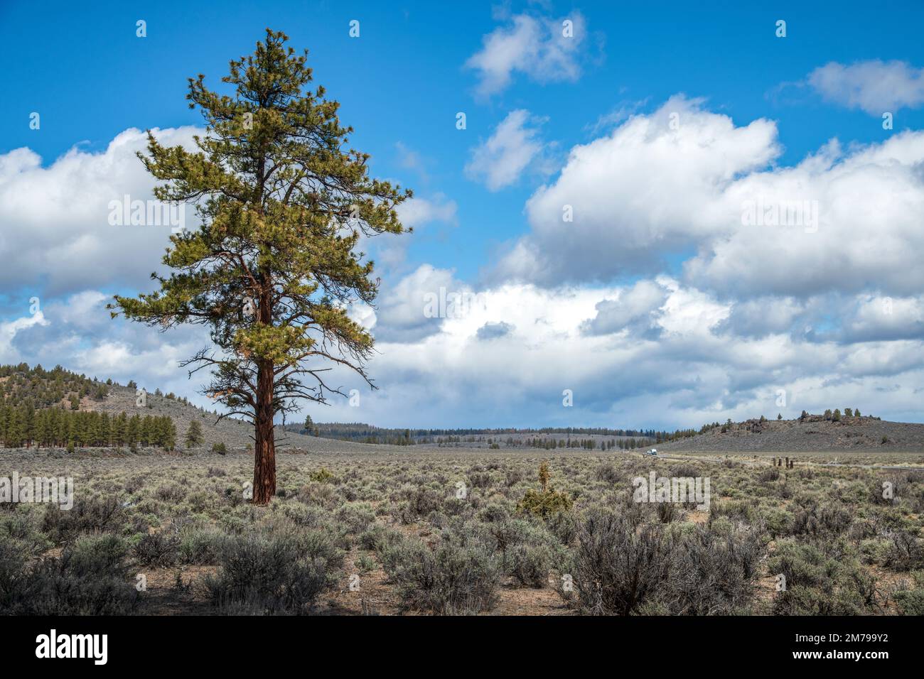 USA, Oregon, Lake County, High Desert and Highway 31 Stock Photo - Alamy