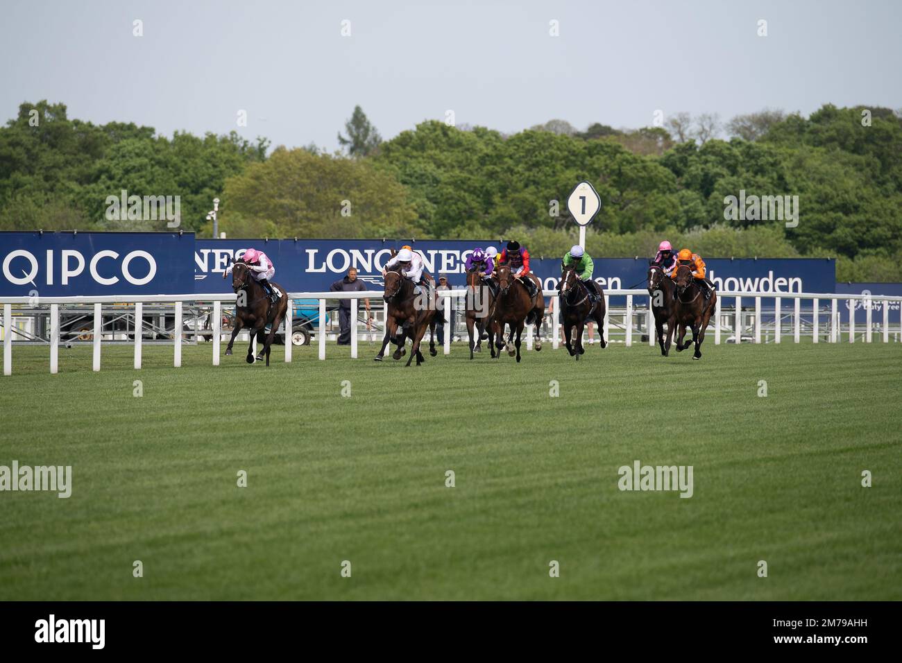 Normandie stud ltd hi-res stock photography and images - Alamy