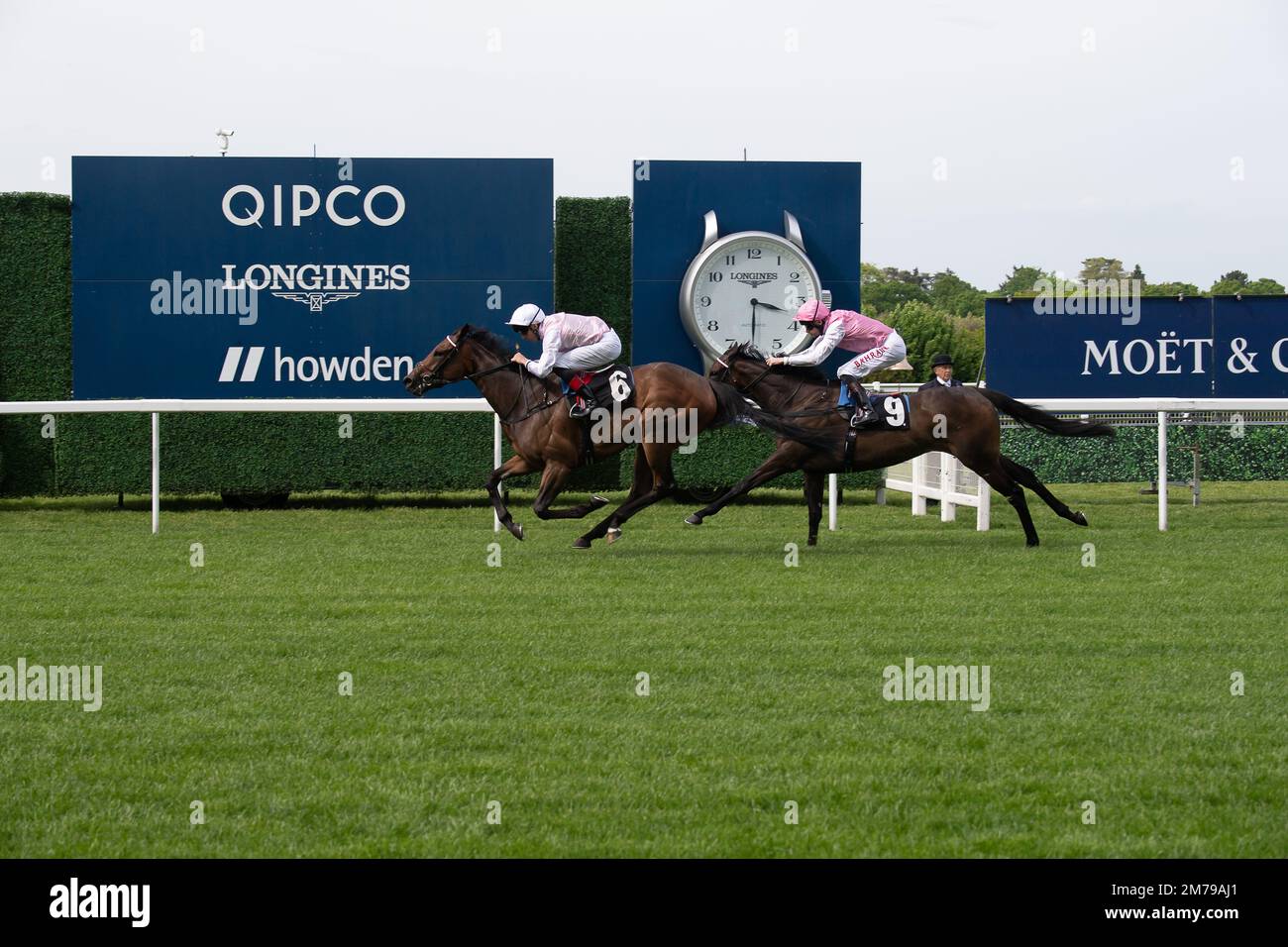 Normandie stud ltd hi-res stock photography and images - Alamy