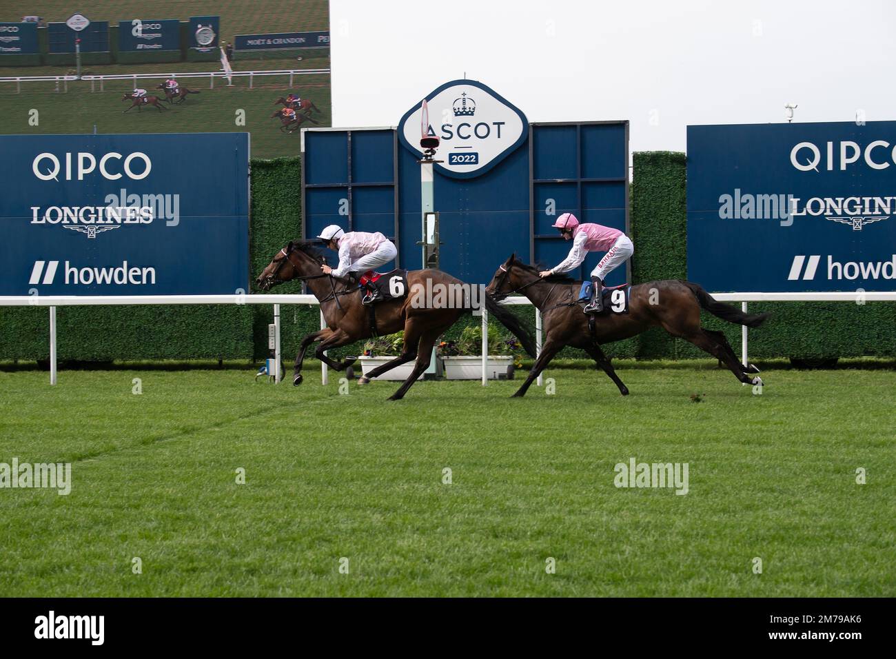 Normandie stud ltd hi-res stock photography and images - Alamy