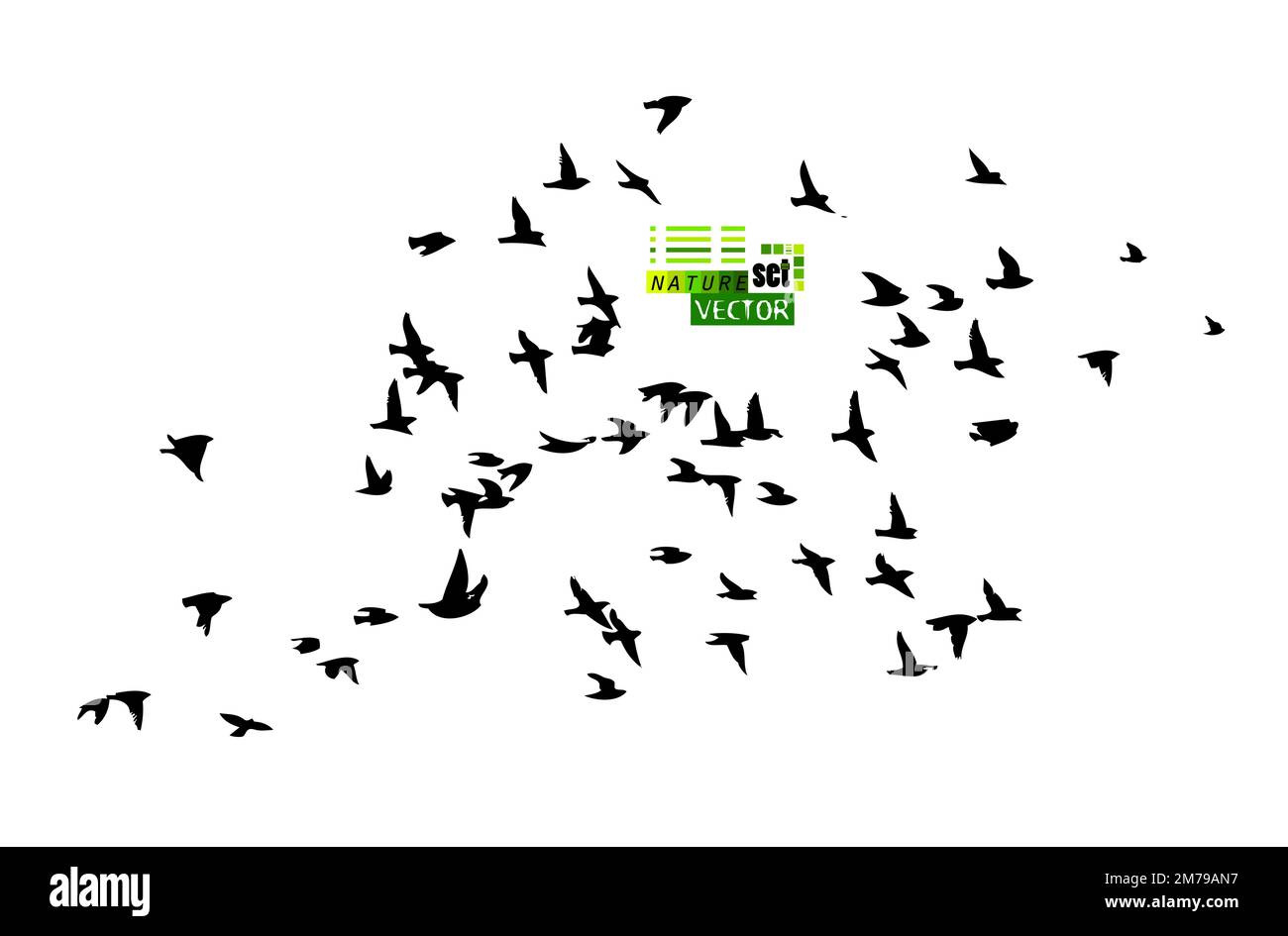 A flock of flying birds. Free birds. Vector illustration Stock Vector ...