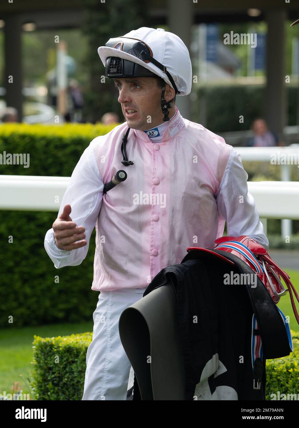 Normandie stud ltd hi-res stock photography and images - Alamy